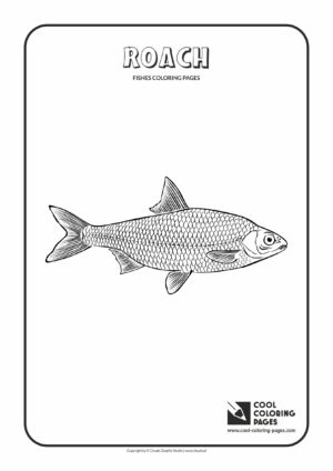 Cool Coloring Pages Roach coloring page - Cool Coloring Pages | Free ...