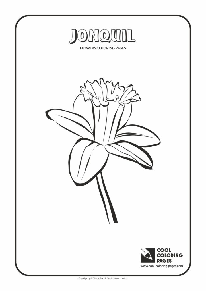 Cool Coloring Pages jonquil coloring page Archives - Cool Coloring ...