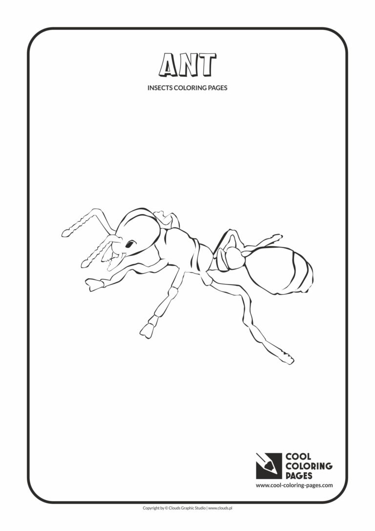 Cool Coloring Pages Ant coloring page - Cool Coloring Pages | Free ...