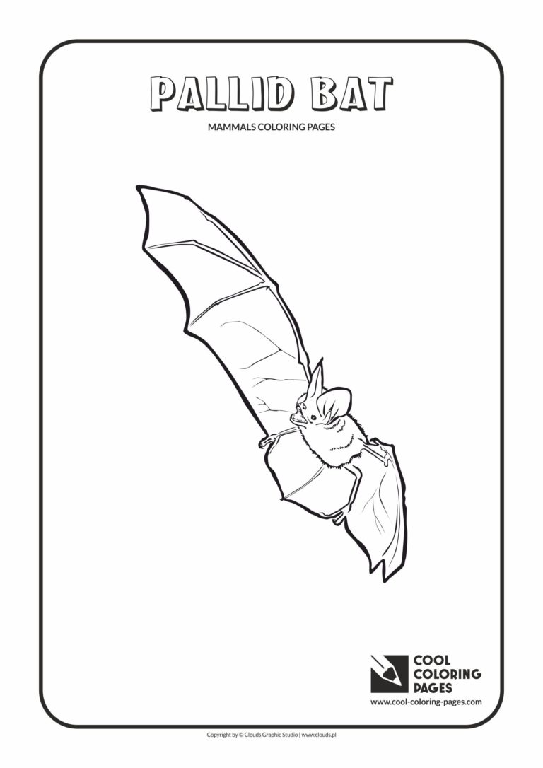Cool Coloring Pages Pallid bat coloring page - Cool Coloring Pages ...