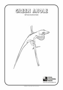 Cool Coloring Pages Green anole coloring page - Cool Coloring Pages ...