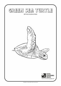 Cool Coloring Pages Green sea turtle coloring page - Cool Coloring ...